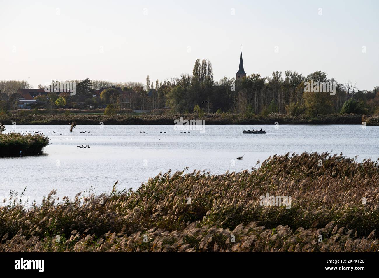 View over the River Scheldt, vegetation and the village in the ...