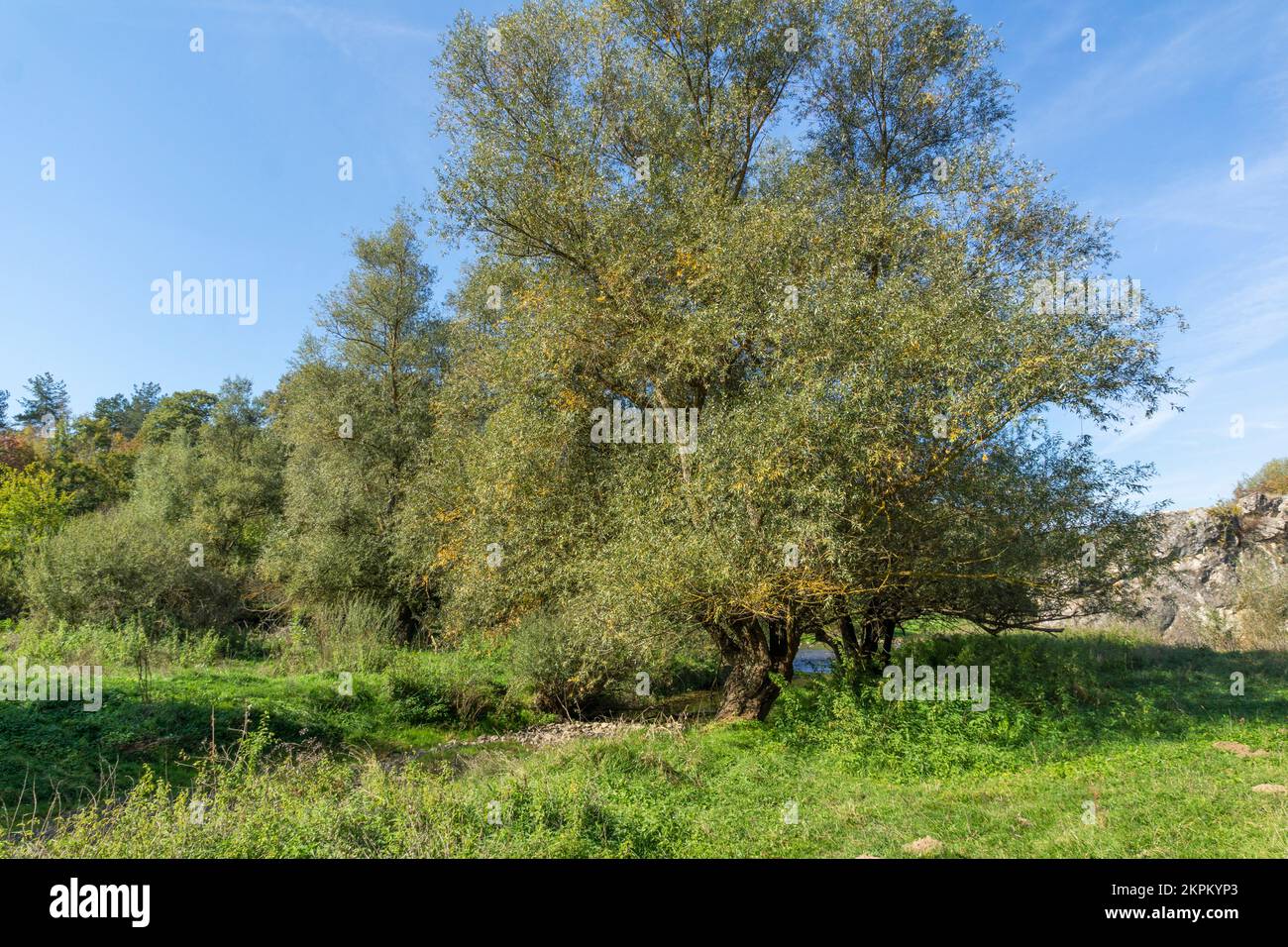 Amazing Landscape of Vit river, passing near village of Aglen, Lovech ...