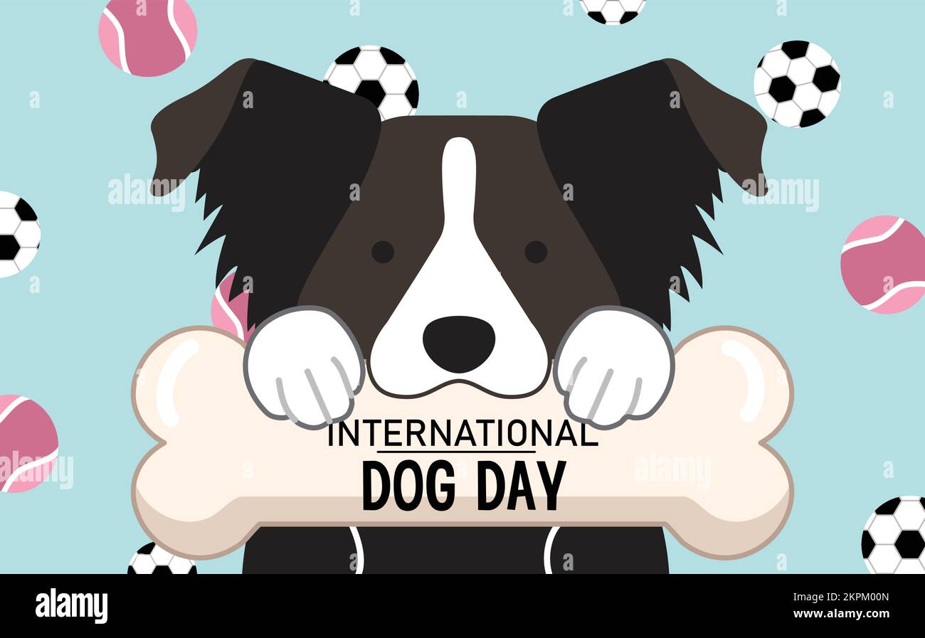 Cute border collie dog holding bone with toys in background ...