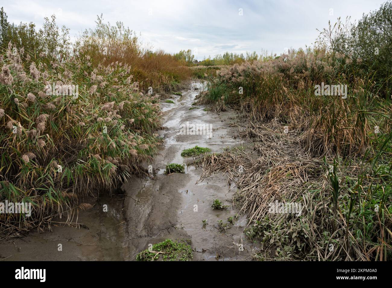 Naturale floodplain hi-res stock photography and images - Alamy