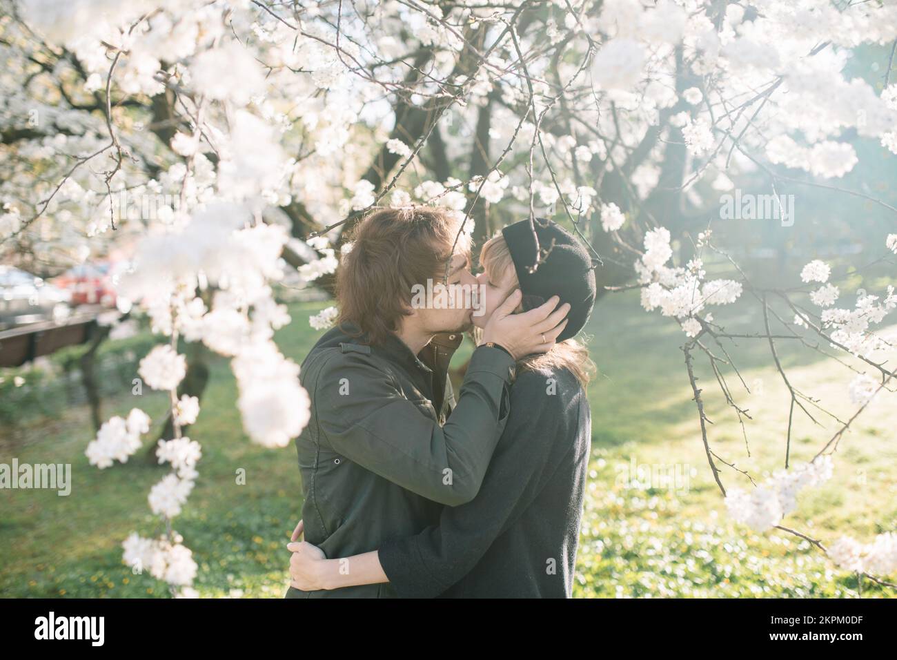 Couple standing under a cherry blossom tree in the park kissing in springtime, Belarus Stock ...