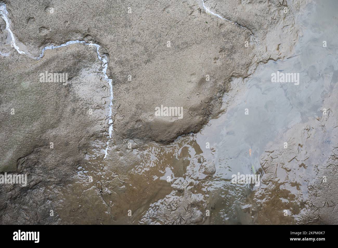 Texture of wet grey mud of the River Scheldt, Berlare, Flanders ...