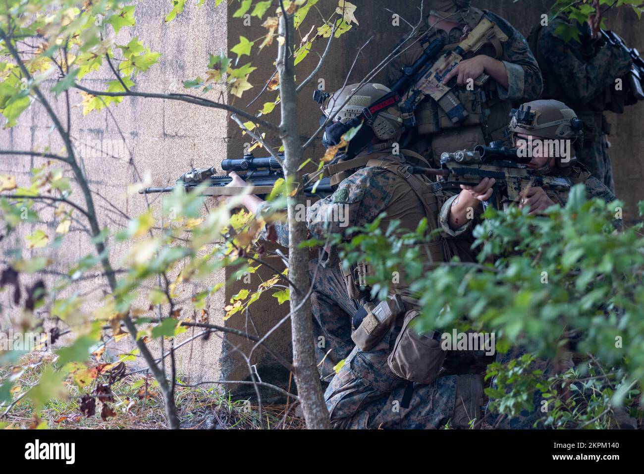 Bounding marksmanship hi-res stock photography and images - Alamy