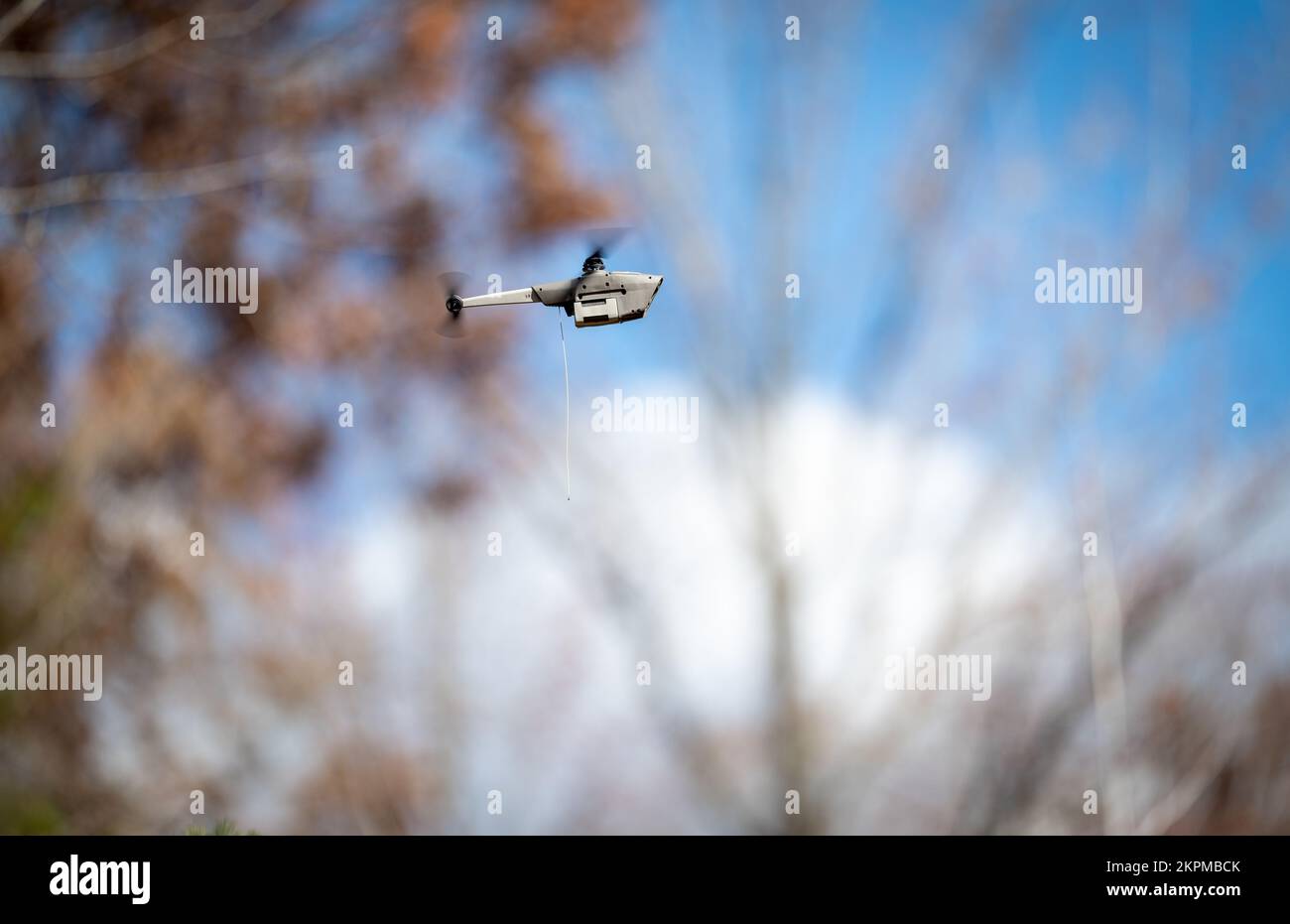 Sbs soldier hi-res stock photography and images - Alamy