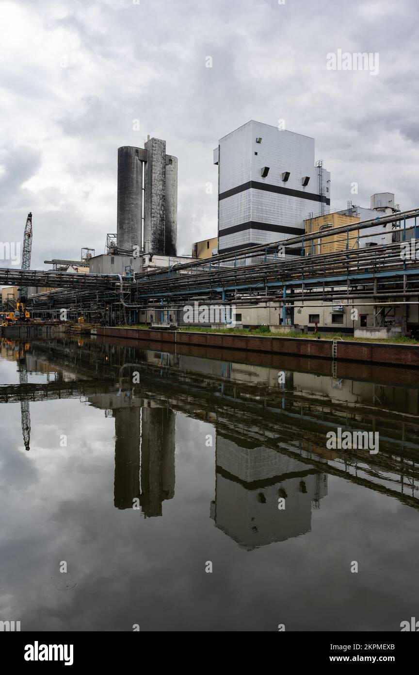 Tereos syral hi-res stock photography and images - Alamy