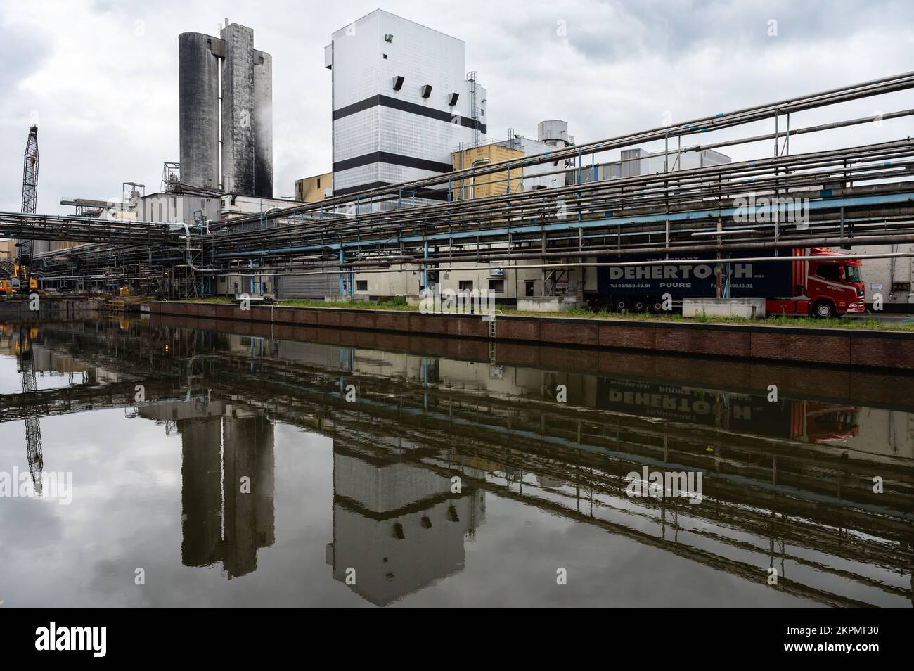 Tereos syral hi-res stock photography and images - Alamy