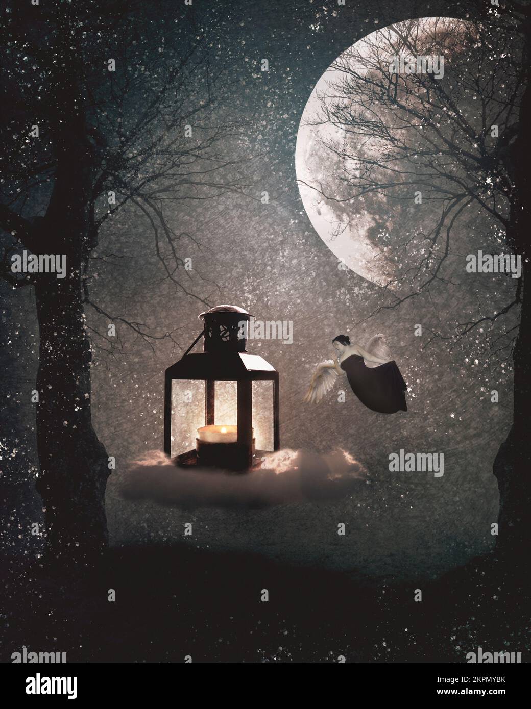 A winter scene created from composite images, featuring a frosty wood ...