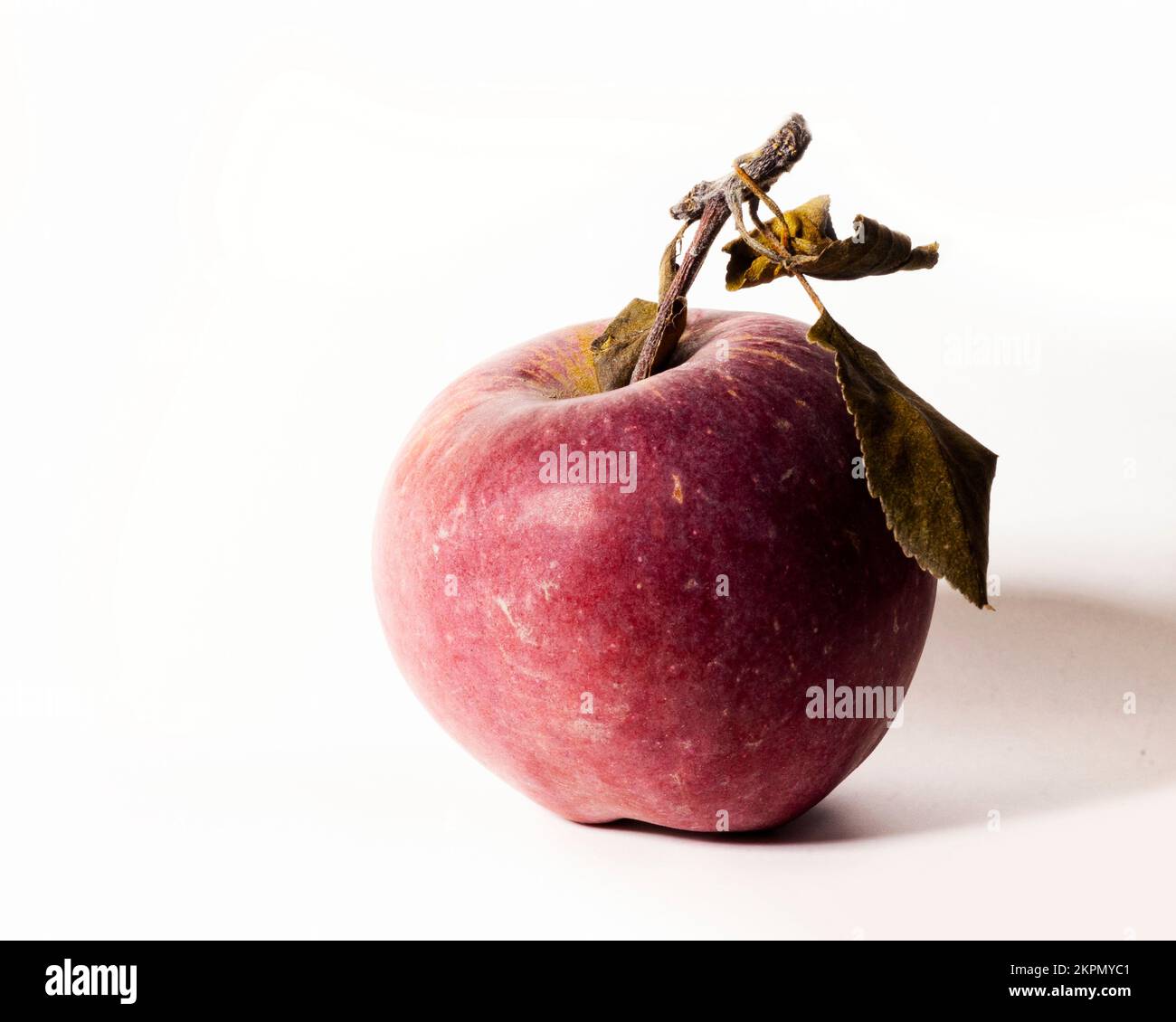 A single red apple on a white background Stock Photo - Alamy