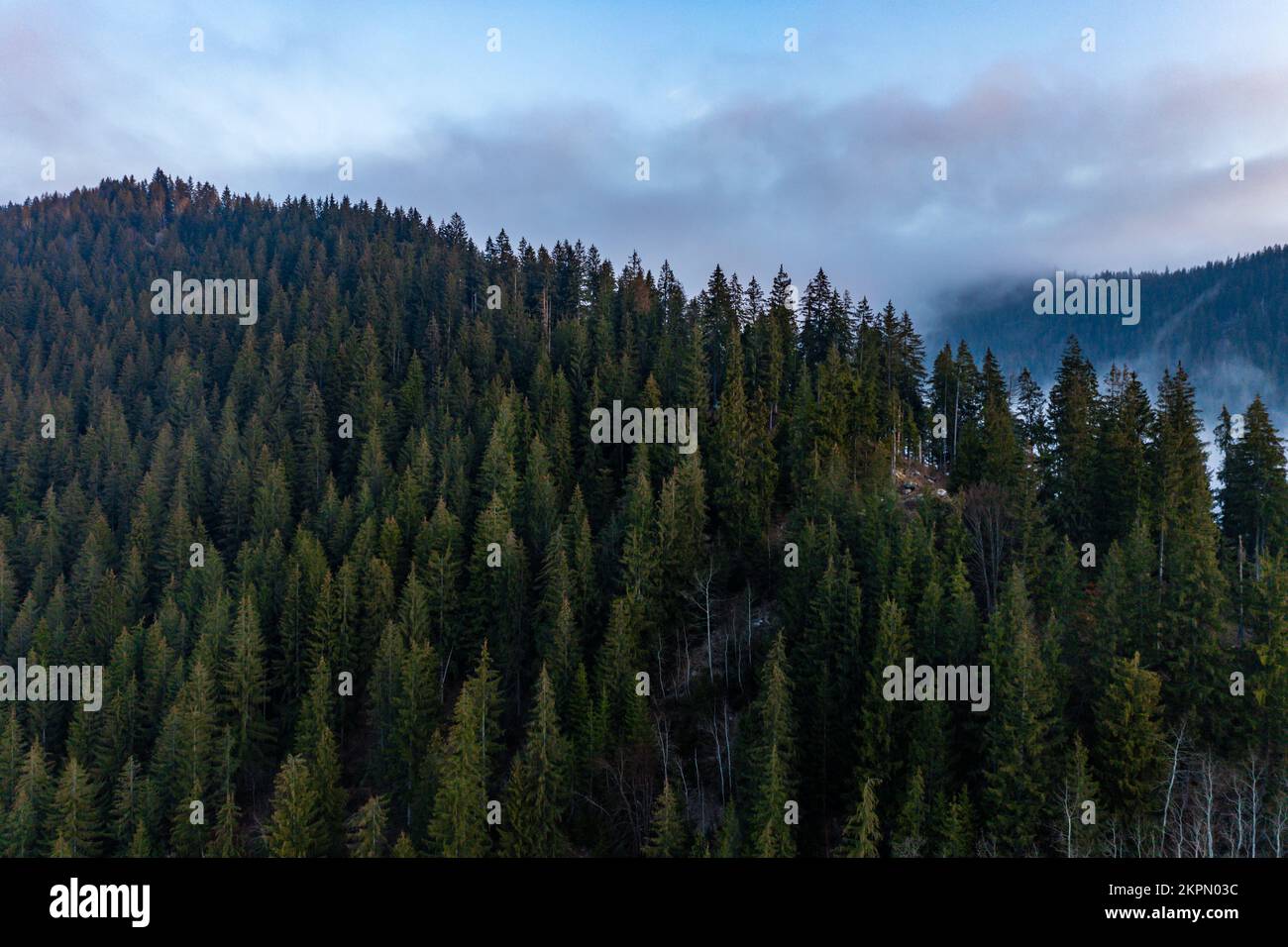 Mountain atmospheric landscape of high mountains in thick fog in rainy ...