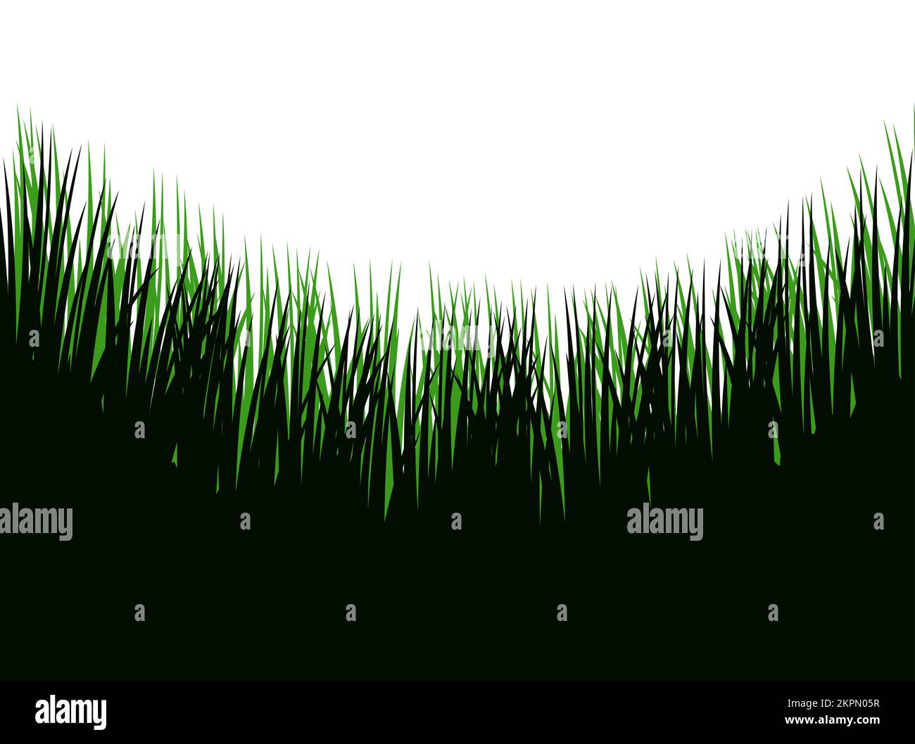 Grass. Nature rural landscape. Pasture overgrown. Overgrown dense lawn ...