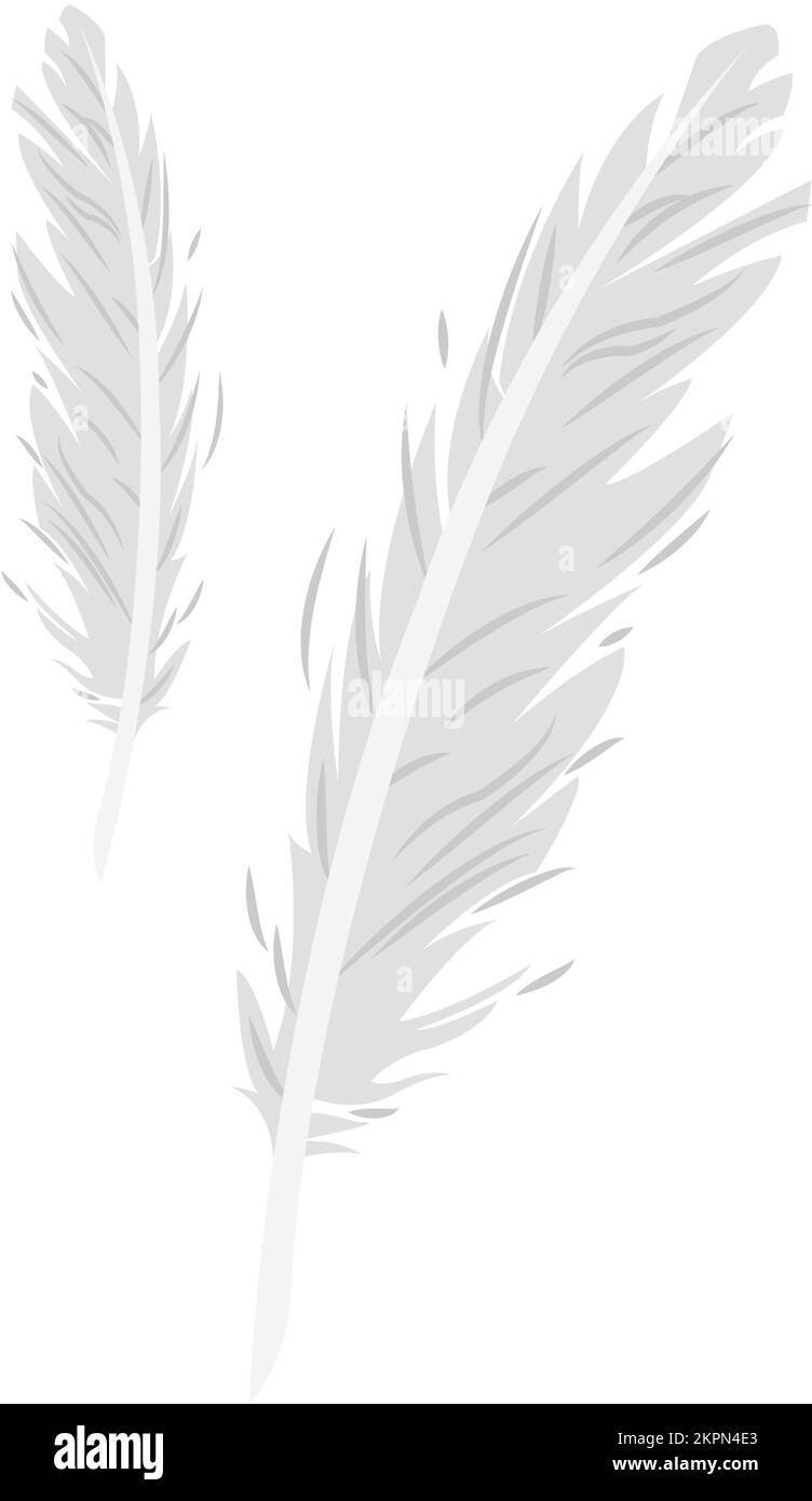 The vertical vector of gray feathers over the white background Stock ...