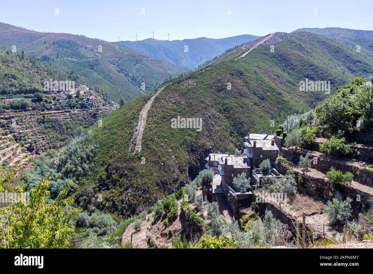 Field in terraces, with olive trees, in a valley near Piodao in Garda ...