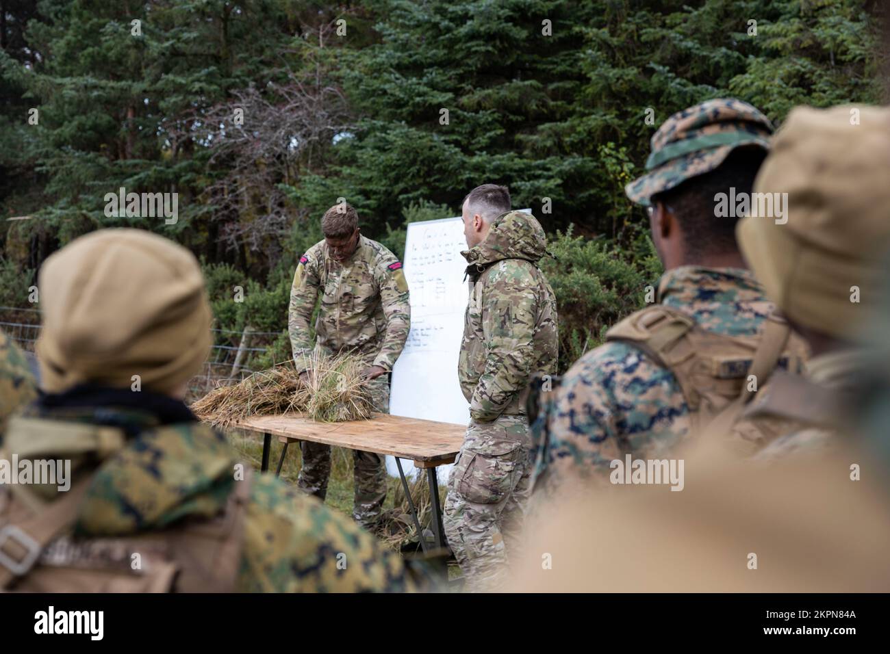 Royal marine commando camouflage hi-res stock photography and images ...