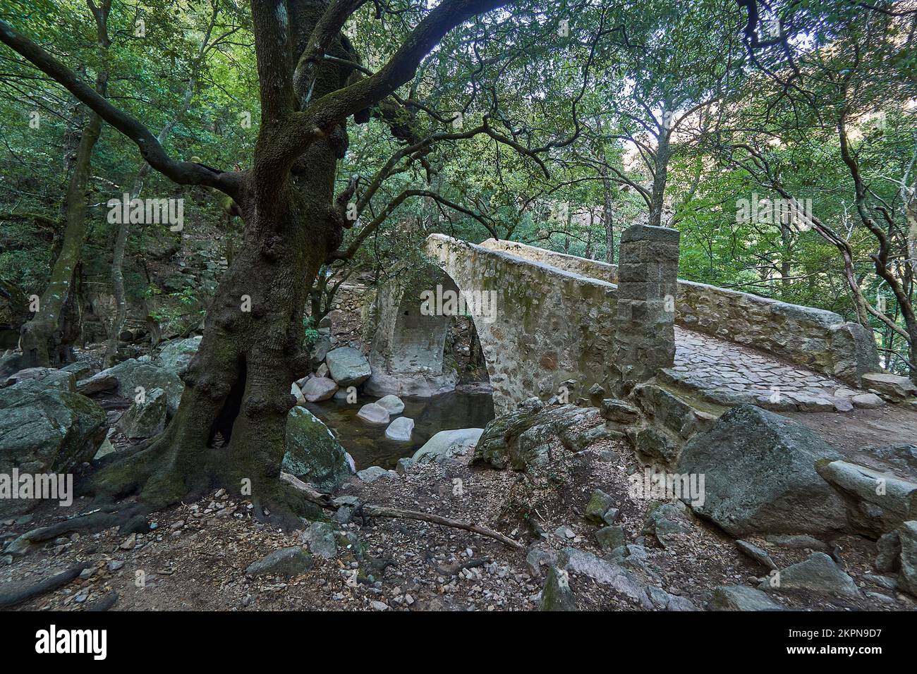 Old roman bridge in the Spelunca Gorge, a popular destination for ...