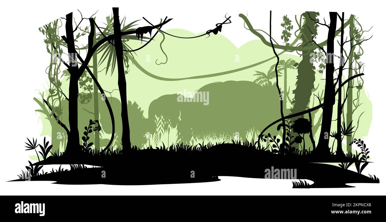 Jungle rainforest. Nature landscape silhouette. Dense tropical thickets ...