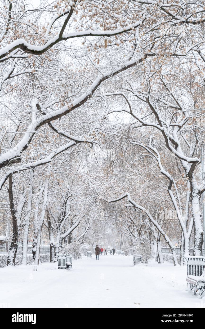 snow-covered city in winter. a snowy alley Stock Photo - Alamy