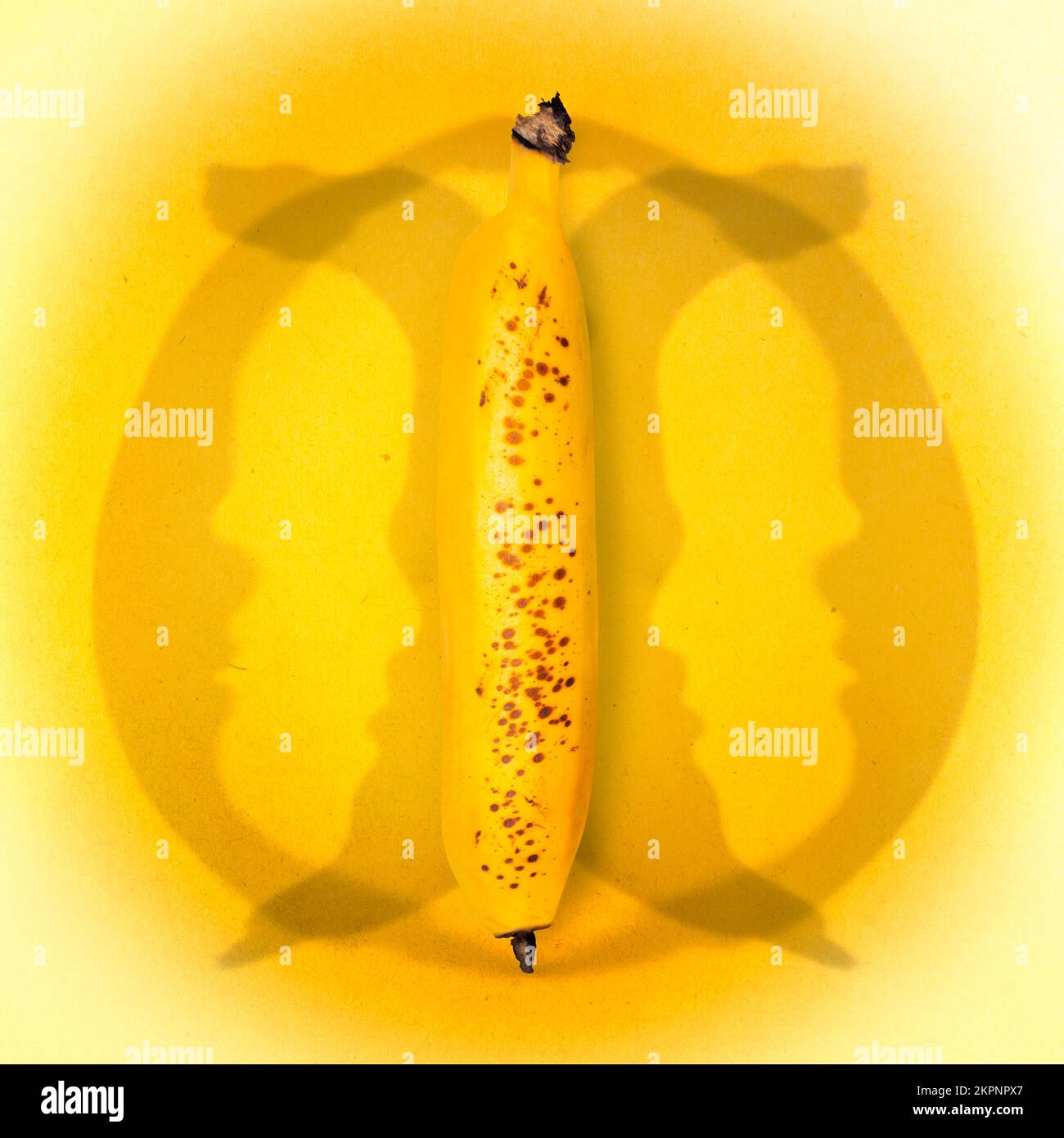 Perception and perspective can be seen as a preferential view of being ...