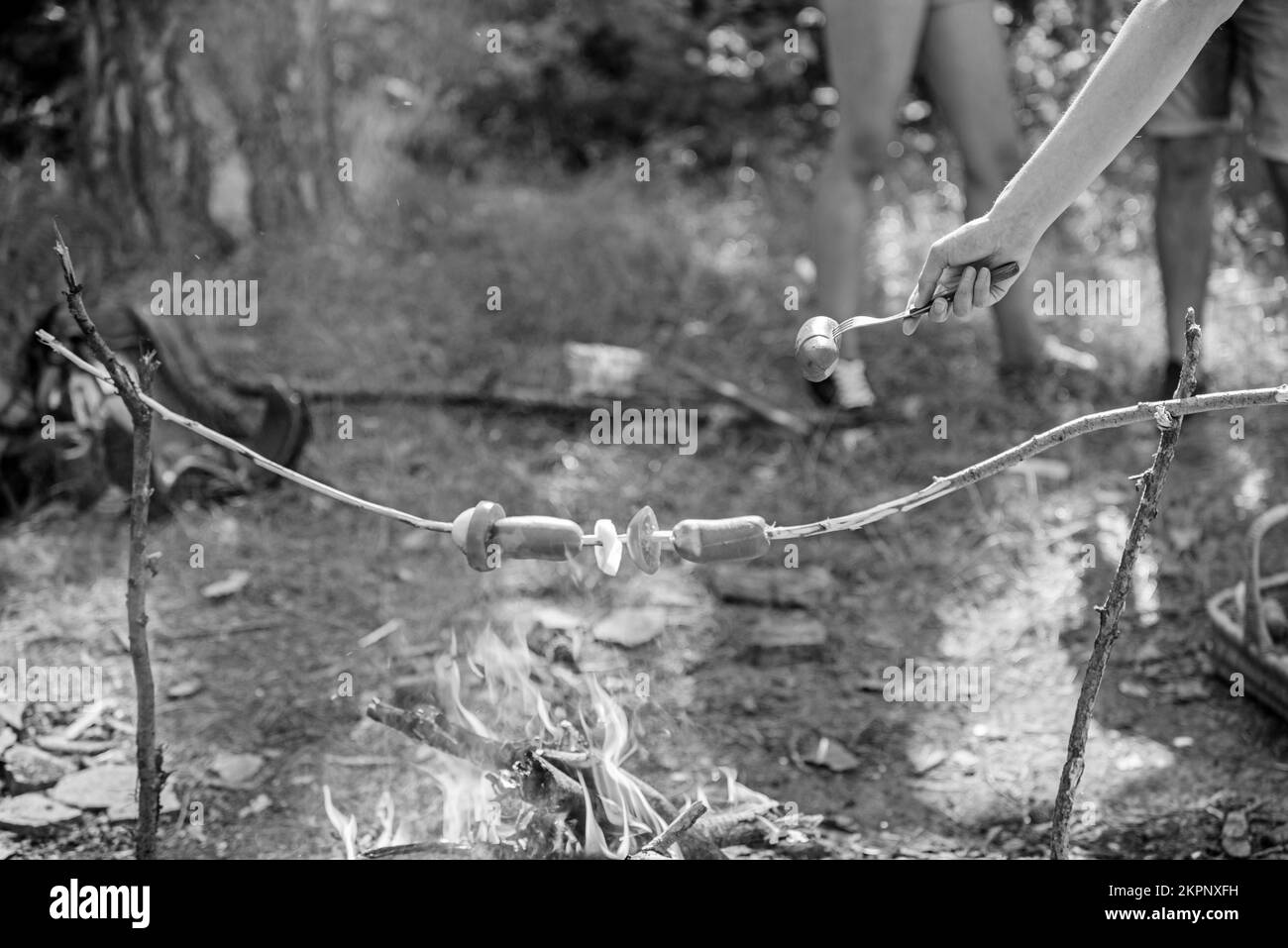 How to roast sausages with vegetables. Sausages on stick bonfire ...