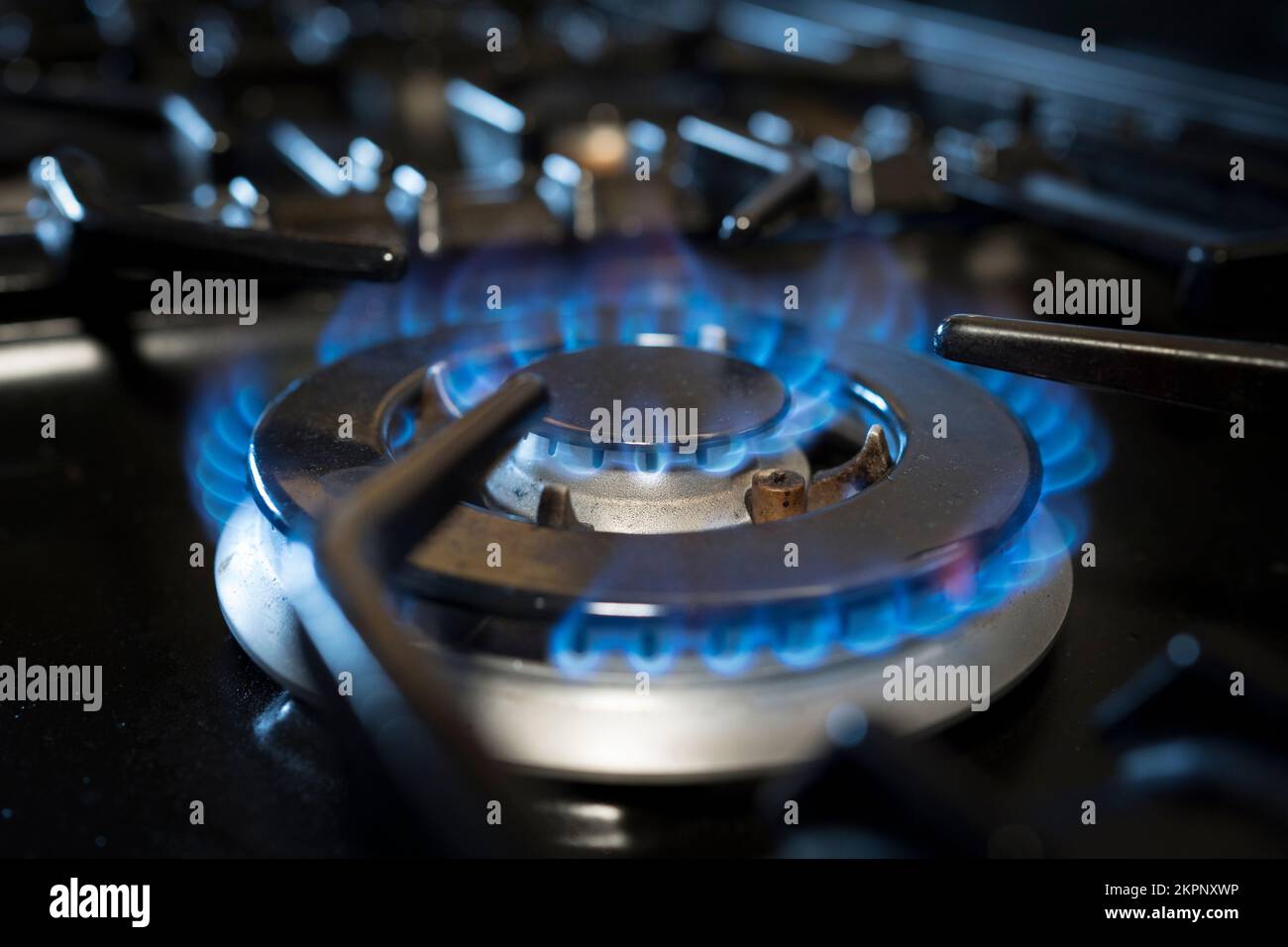 Close up of blue flames lit on an individual gas ring on a residential ...