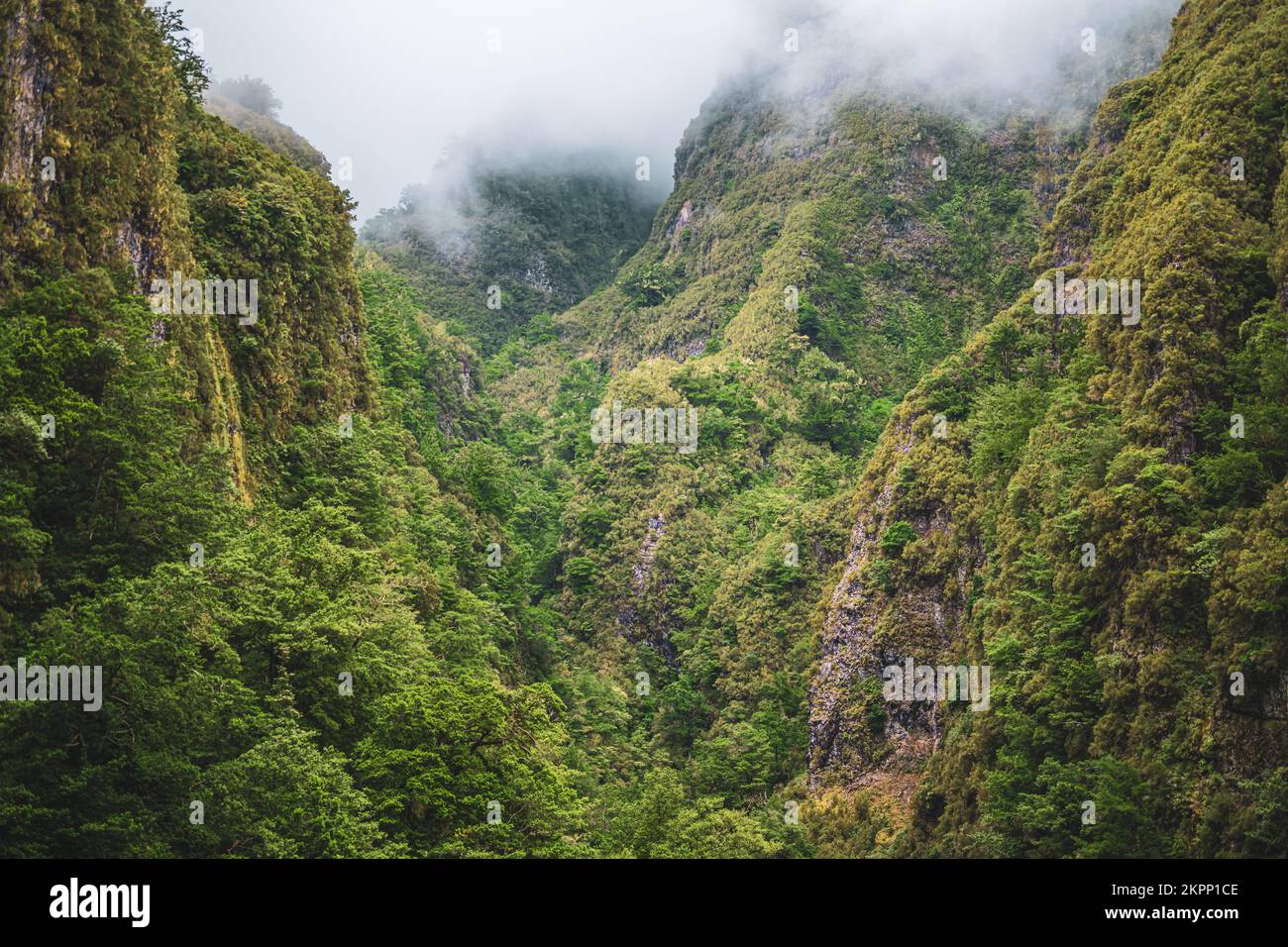 Description: View on steep and adventurous jungle terrain from green ...