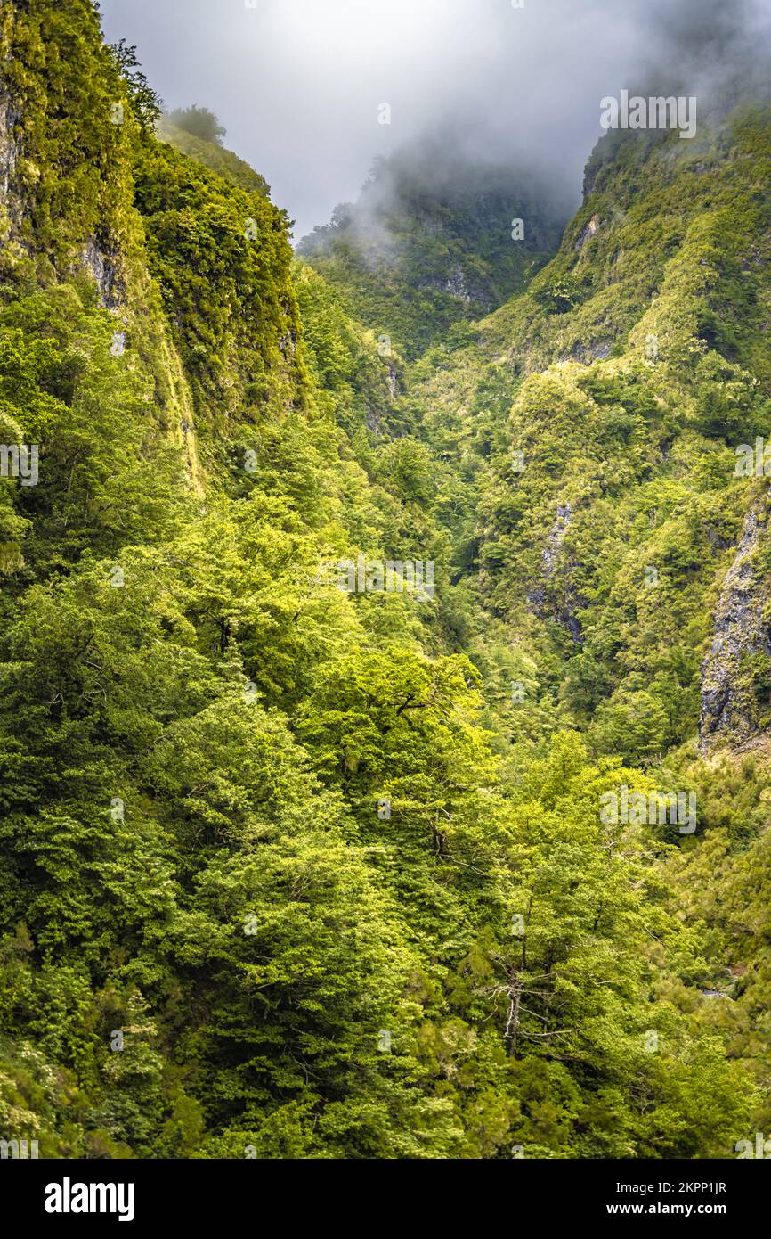 Description: View on steep and adventurous jungle terrain from green ...