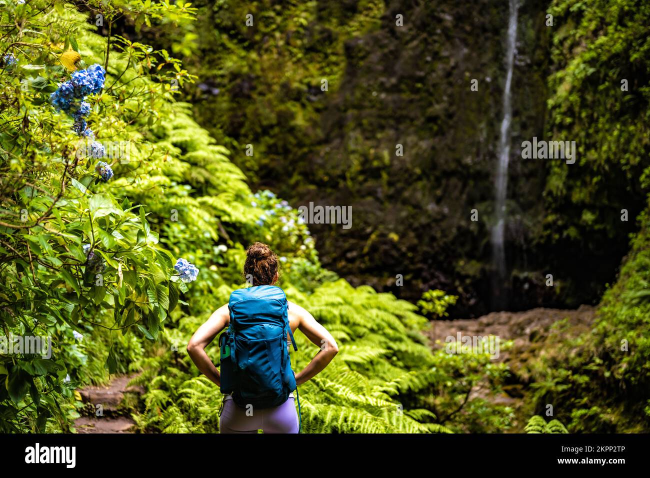 Description: Athletic woman with backpack arrives at amazing jungle ...