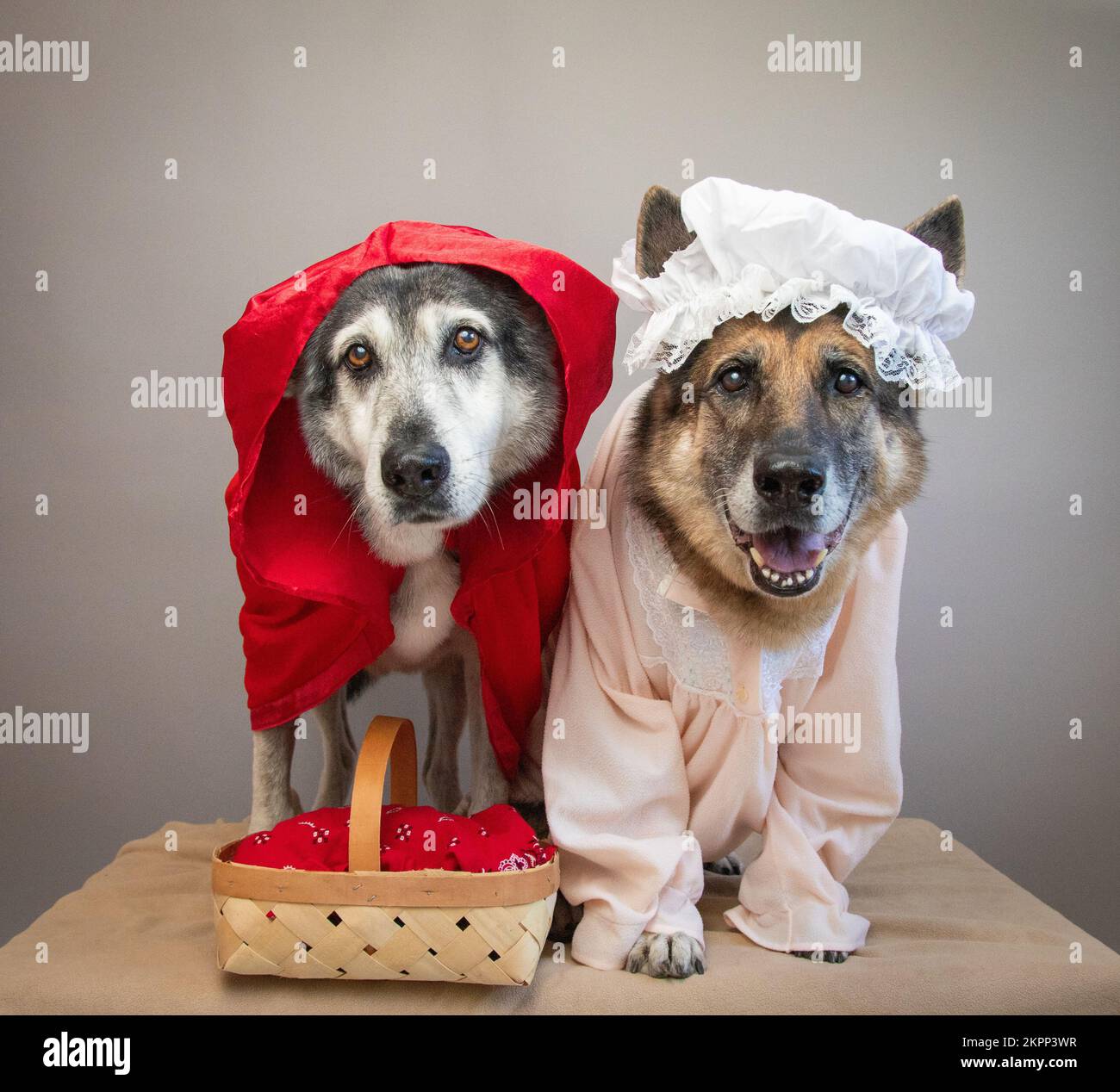 Little Red Riding Hood And Wolf Costume