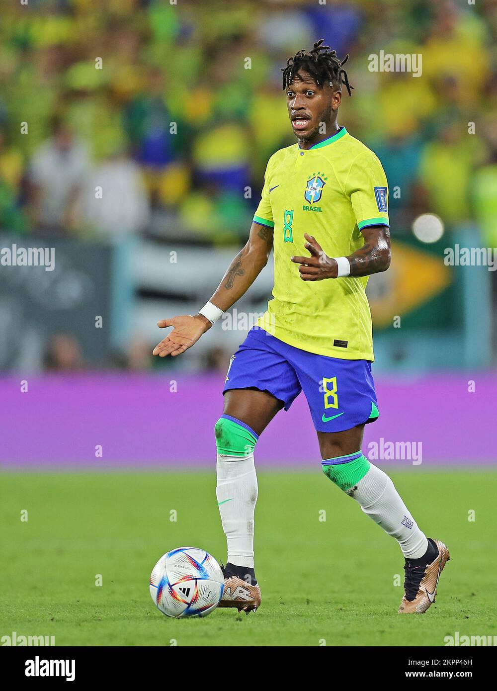 Fred do Brasil during the FIFA World Cup, Qatar. , . in Doha, Qatar ...