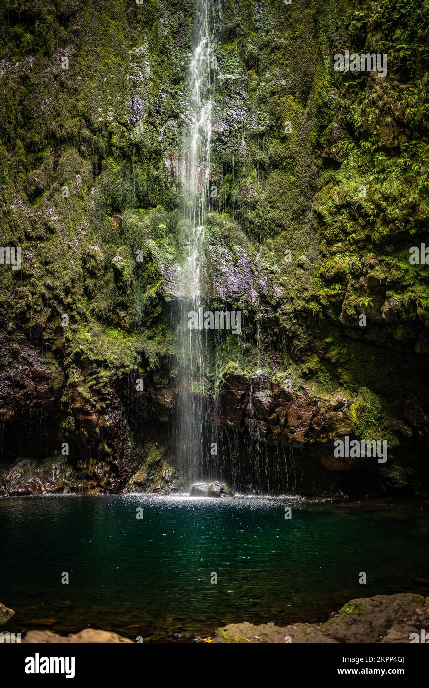 Description: Impressive high Levada verde waterfall in the jungle ...