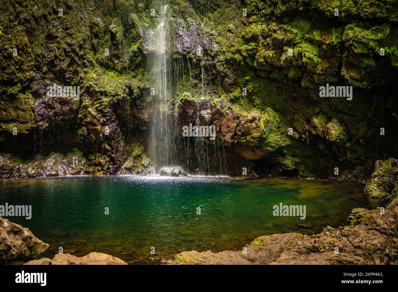Description: Impressive high Levada verde waterfall in the jungle ...