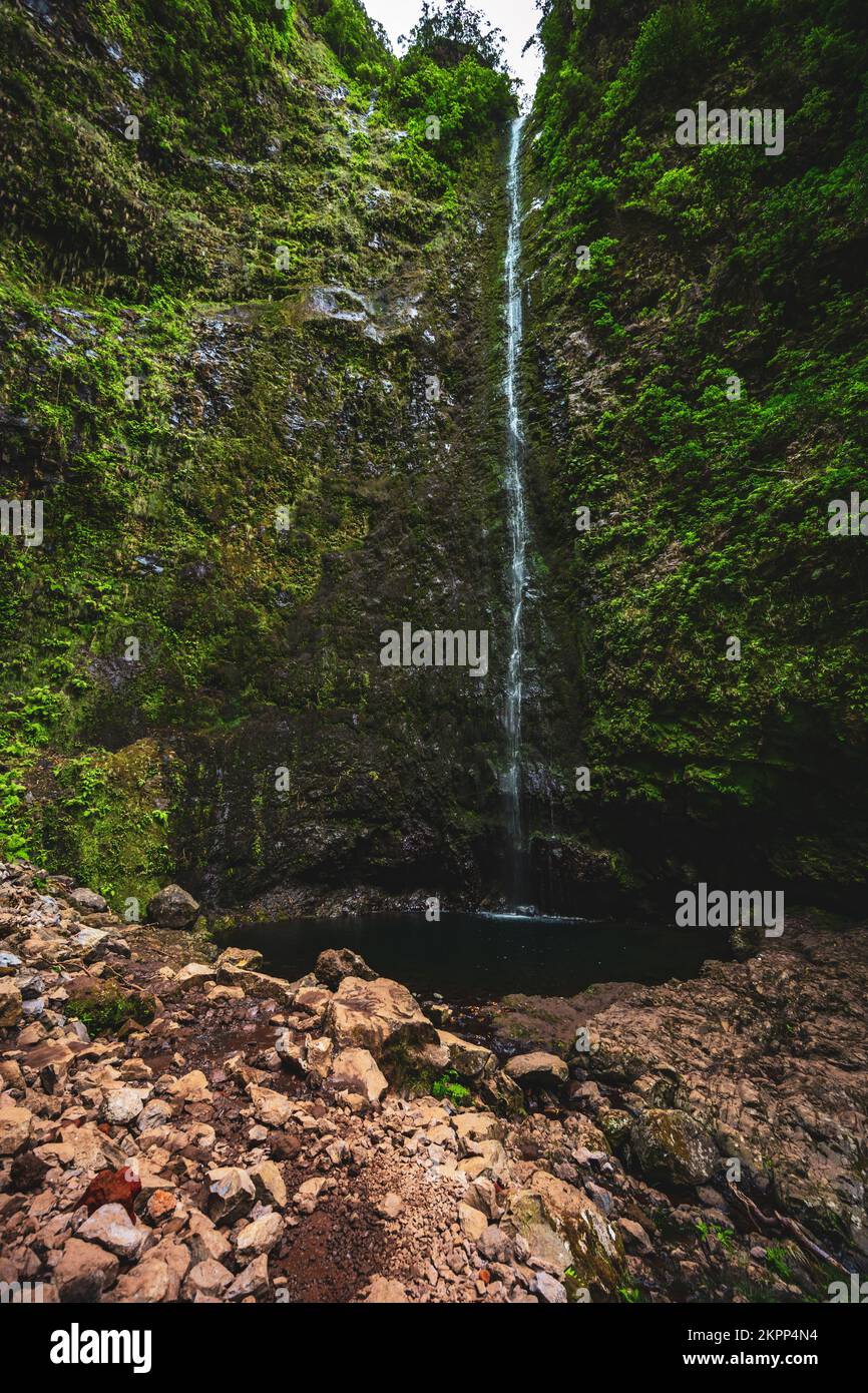 Description: Impressive high Levada verde waterfall in the jungle ...