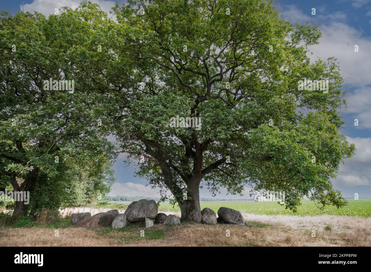 Dolmen D42, Emmer Es municipality of Emmen in the Dutch province of ...