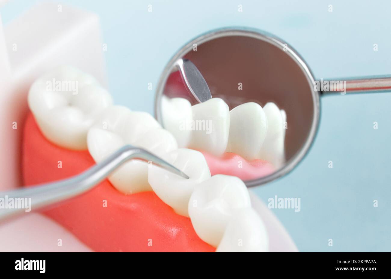 Front view of complete denture. False teeth, jaws. White teeth model ...