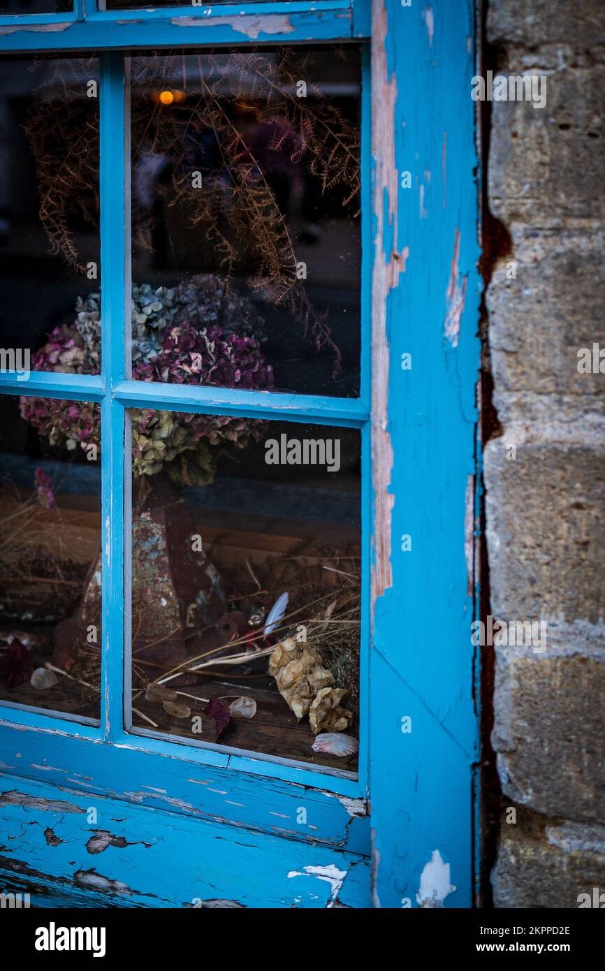 Dried flowers sitting behind a weathered blue house window frame ...