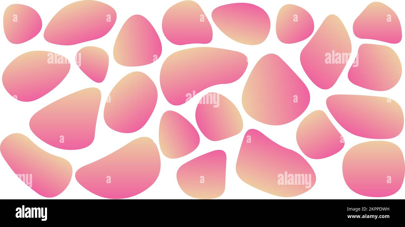 Amoeba vector hi-res stock photography and images - Alamy