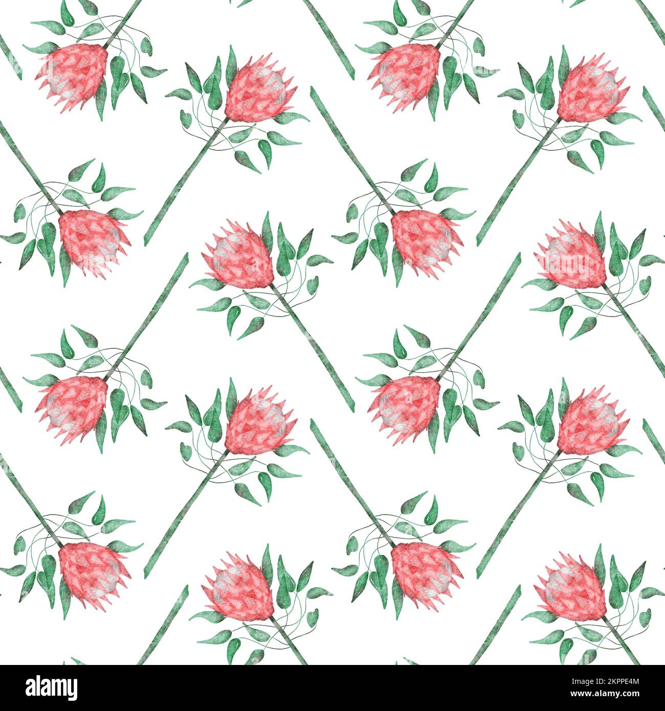 Seamless pattern with watercolor protea flowers Stock Photo - Alamy
