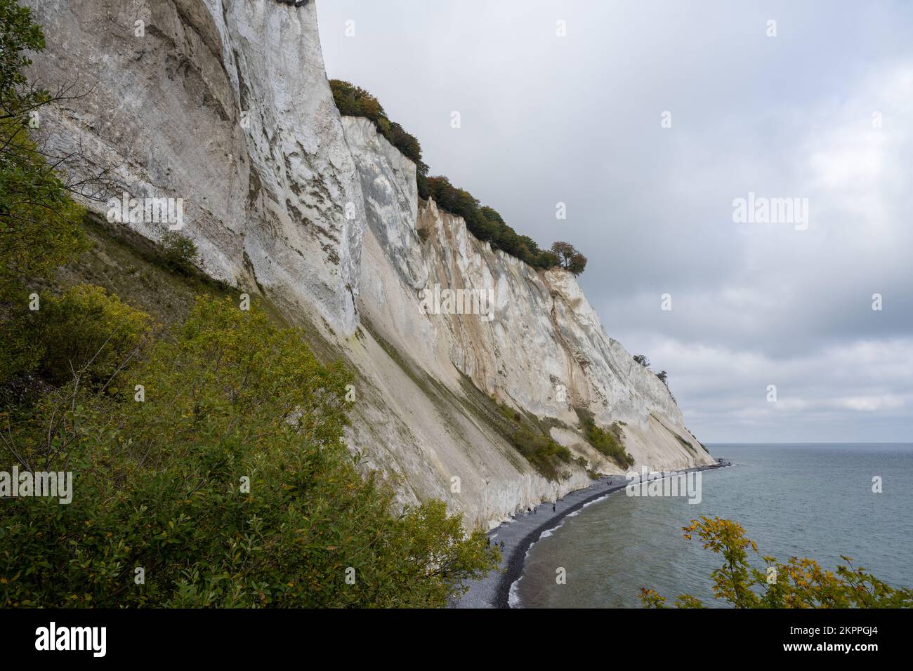 Beautiful chalk cliffs towering over the Baltic Sea. Picture from Mons ...