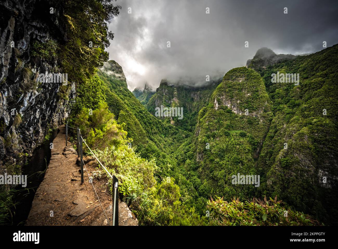 Description: Mystical atmosphere on the adventurous cliff jungle trail ...