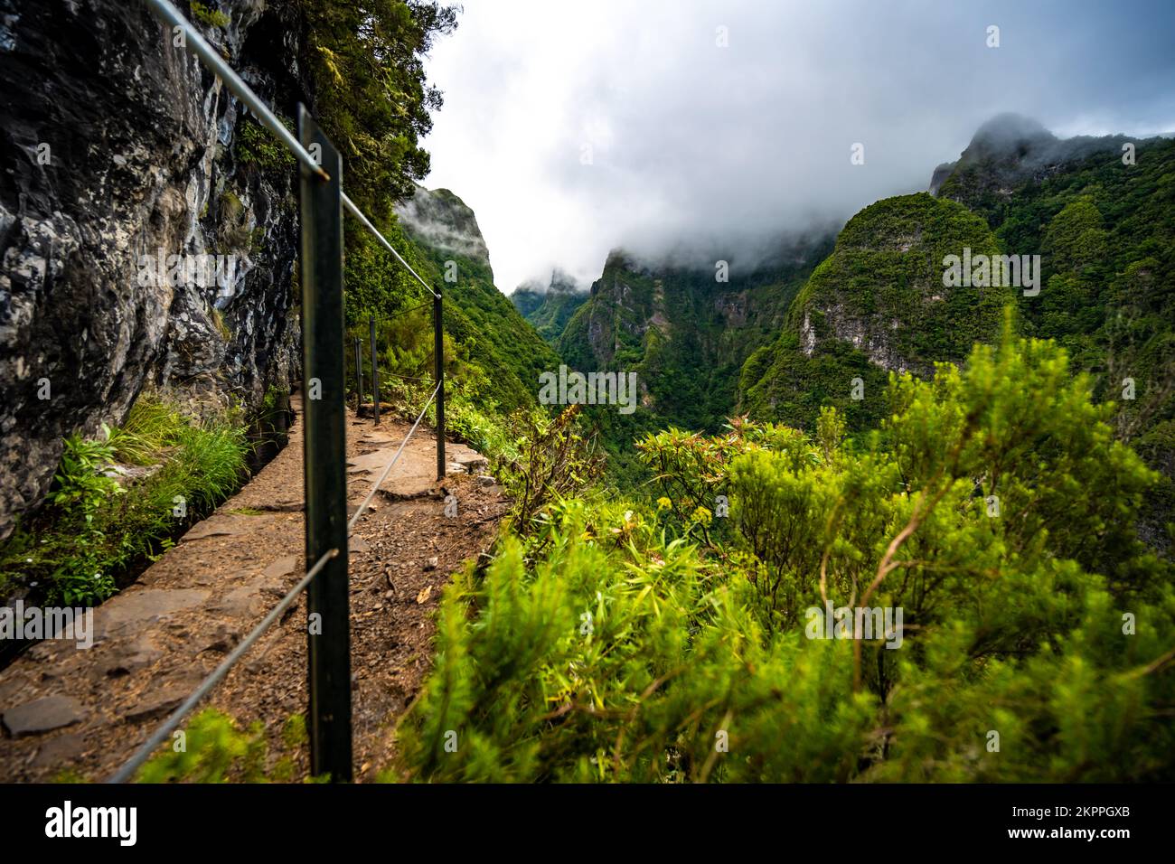 Description: Mystical atmosphere on the adventurous cliff jungle trail ...