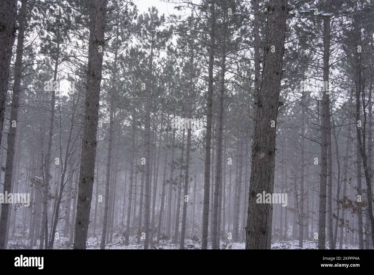 Snow in wisconsin hi-res stock photography and images - Alamy