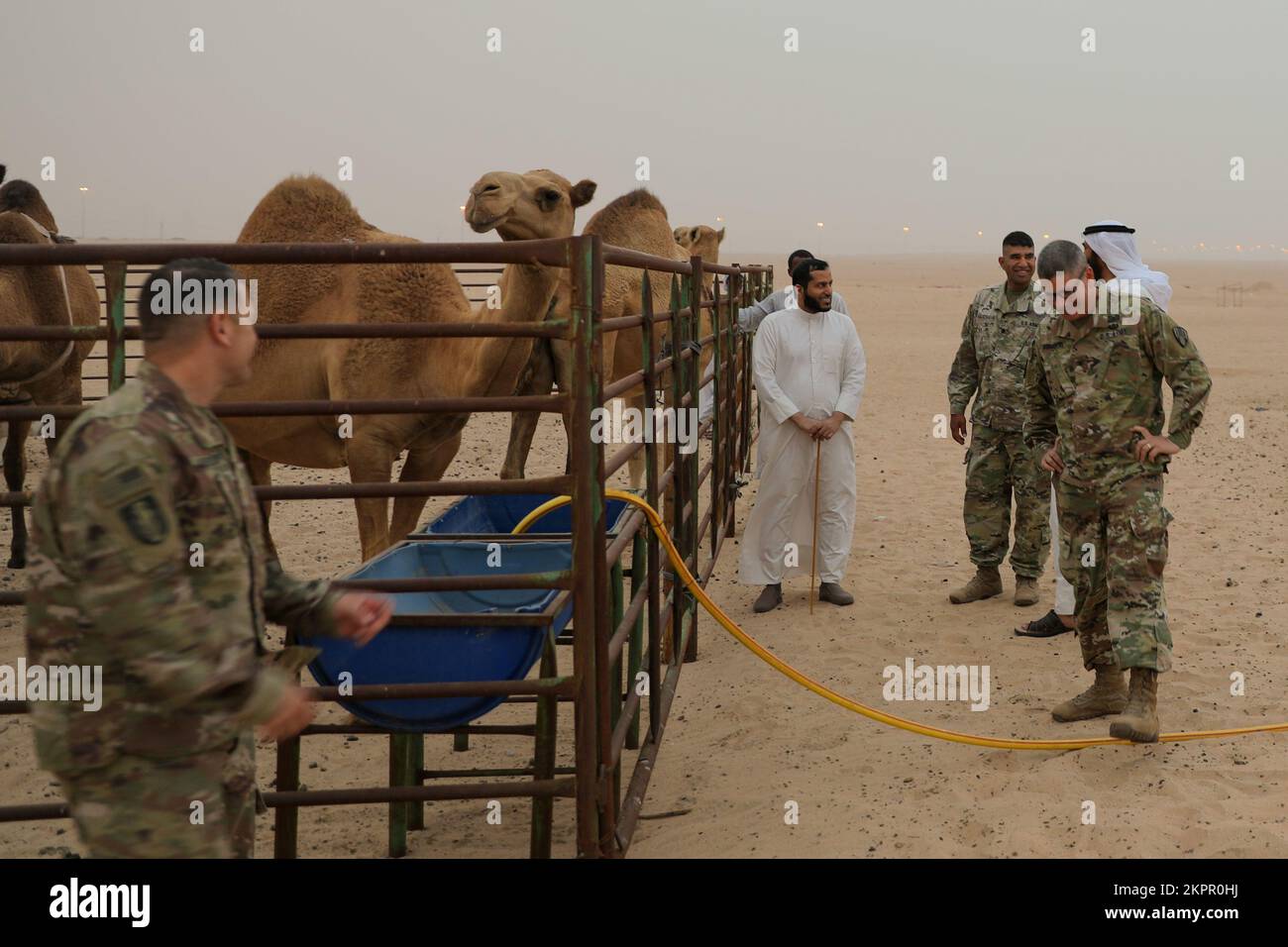 U.S. Army leaders with the 369th Sustainment Brigade enjoy a camel ...
