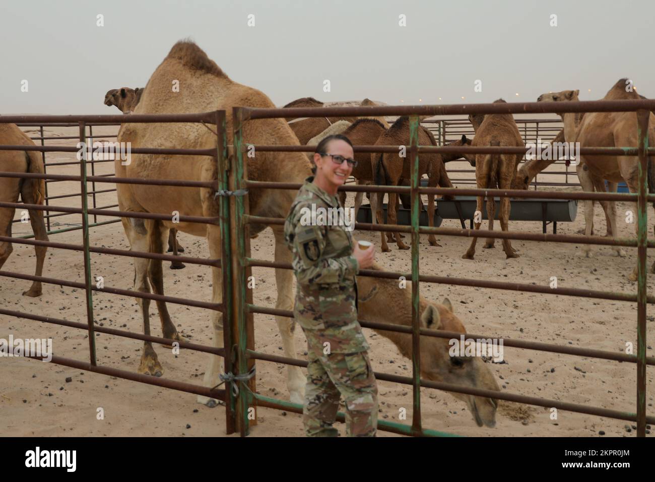U.S. Army Col. Carrie Perez, the commanding officer of the 36th ...
