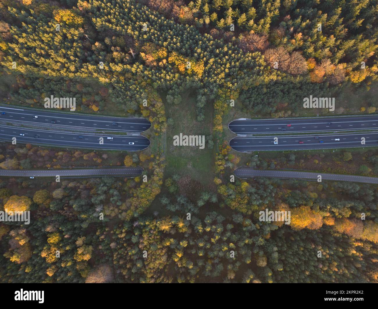 Ecoduct, ecopassage, nature bridge or game changeover. Infrastructure ...