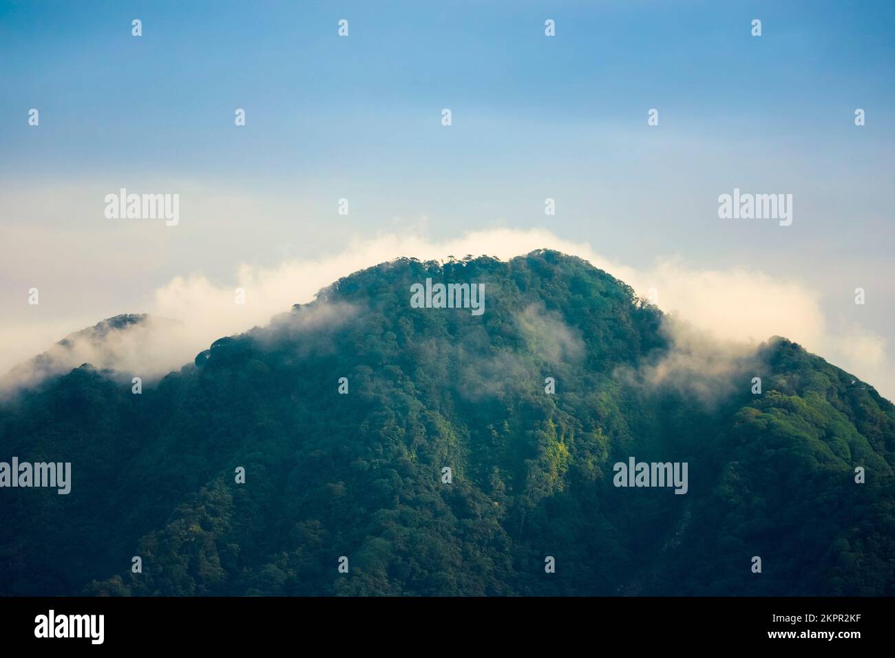 Cloud shrouded jungle on mountain ridge near Karangetang volcano on ...