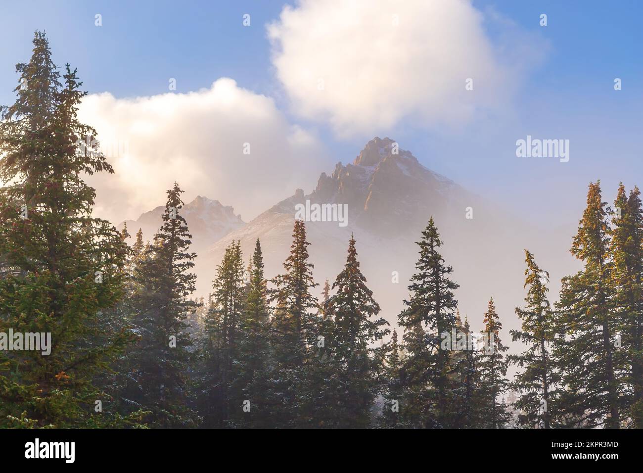 Banff trees mountains hi-res stock photography and images - Alamy