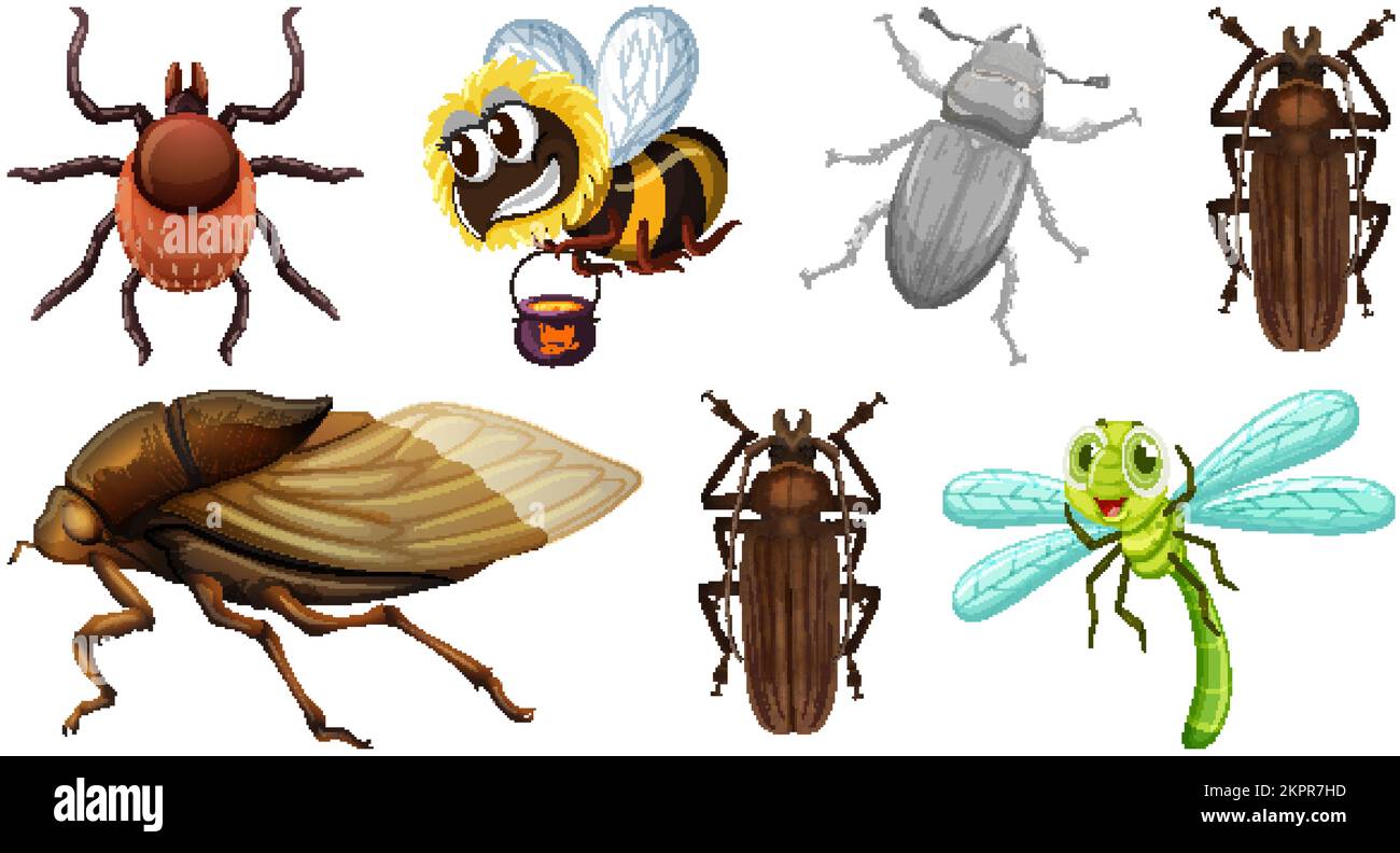 Set of different kinds of insects illustration Stock Vector Image & Art ...
