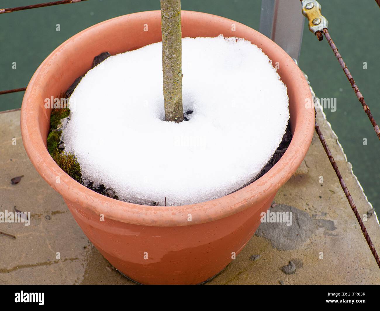 Flower pot with snow Stock Photo - Alamy