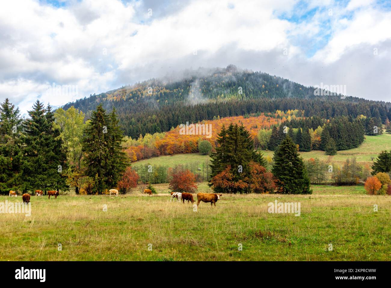 Autumn discovery tour through the Thuringian Forest near Steinbach ...