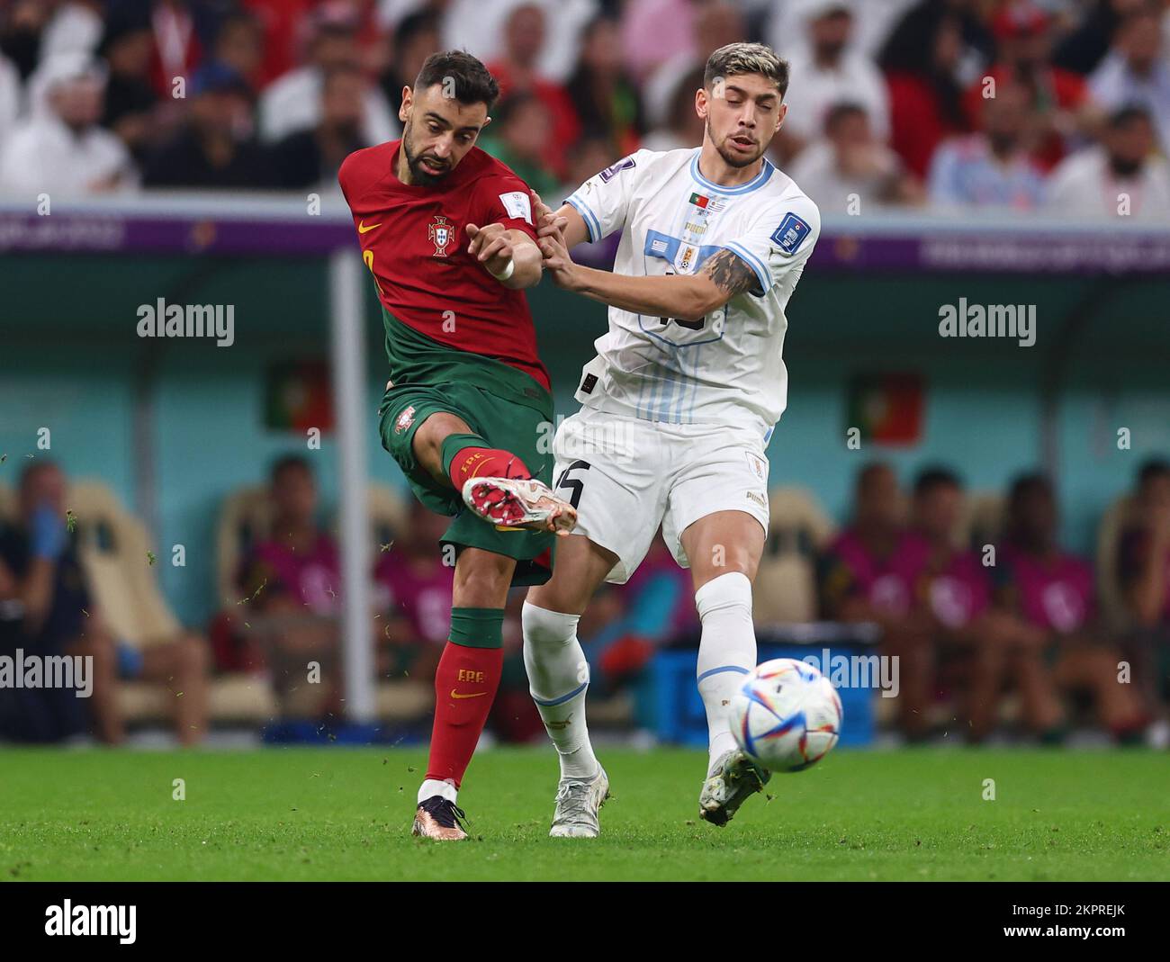 Doha, Qatar, 28th November 2022. Bruno Fernandes of Portugal challenged by Federico Valverde of ...
