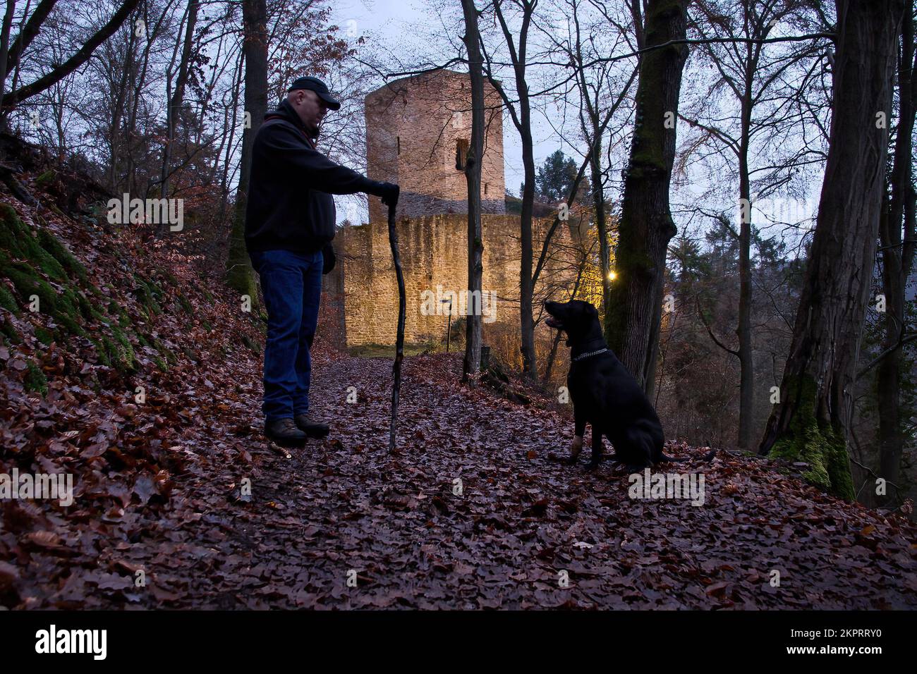 Wolfstein, Germany - January 8, 2021: Man and his black labrador ...